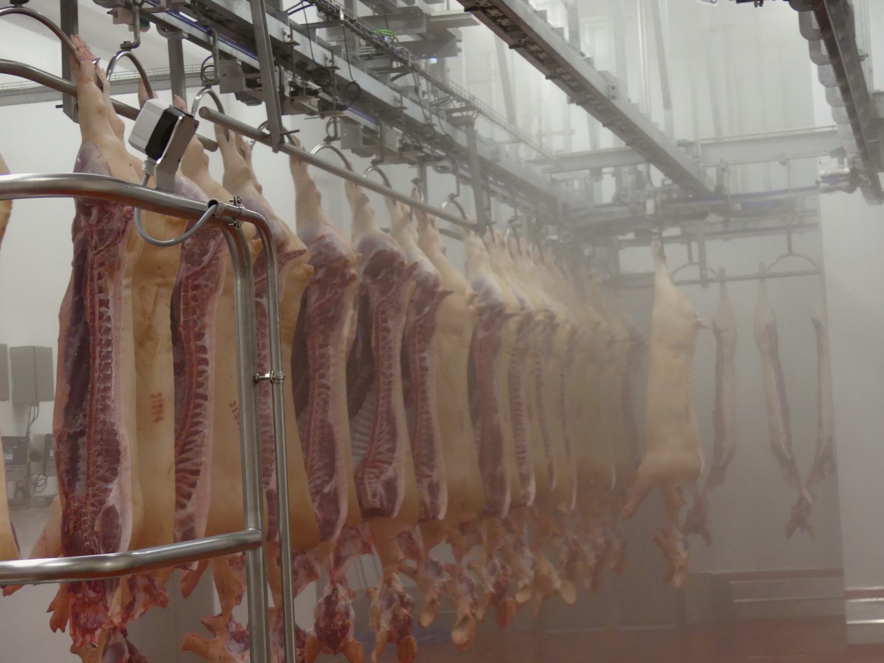 El Encarecimiento De Los Alimentos Eleva La Inflación De Cuenca En Febrero 7946
