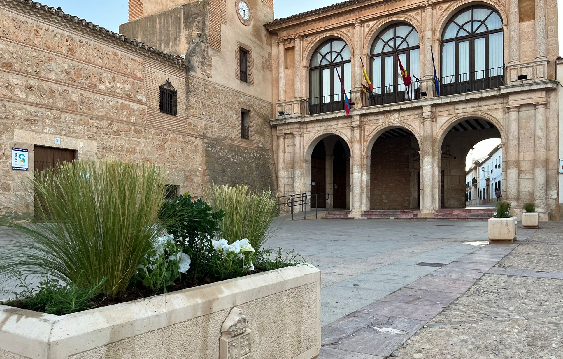 La Jara pierde 100.000 euros por no dar de alta los molinos